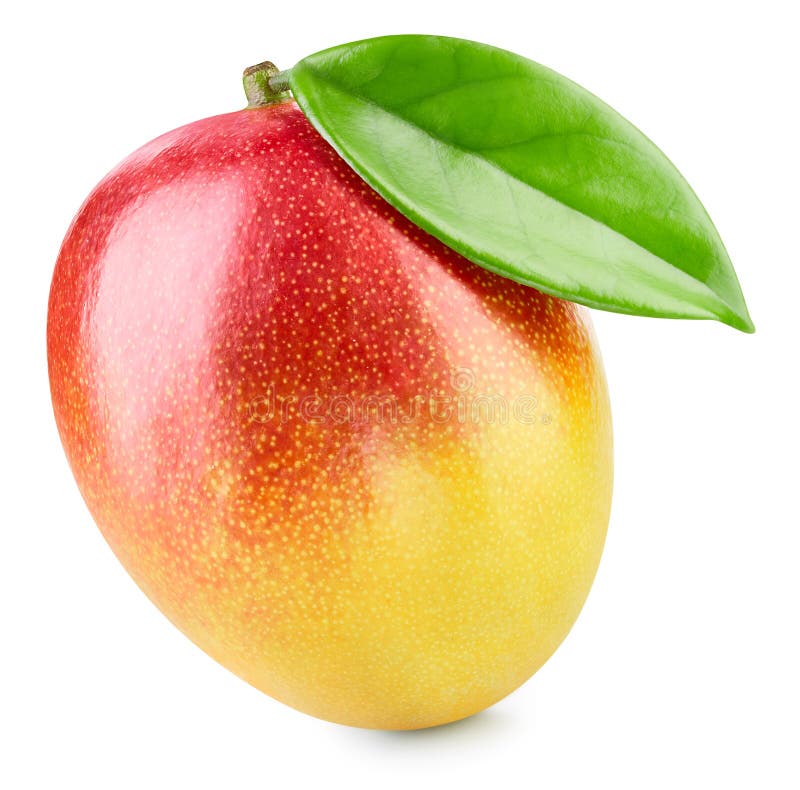 Frutos De Mango Aislados En Blanco Foto de archivo - Imagen de dieta ...