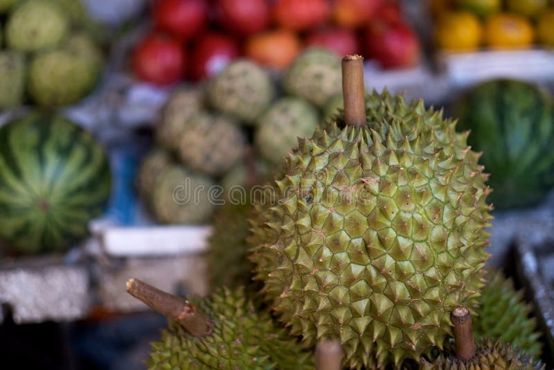 Frutos Verdes Espinhosos Do Durian Foto de Stock - Imagem de frutas ...