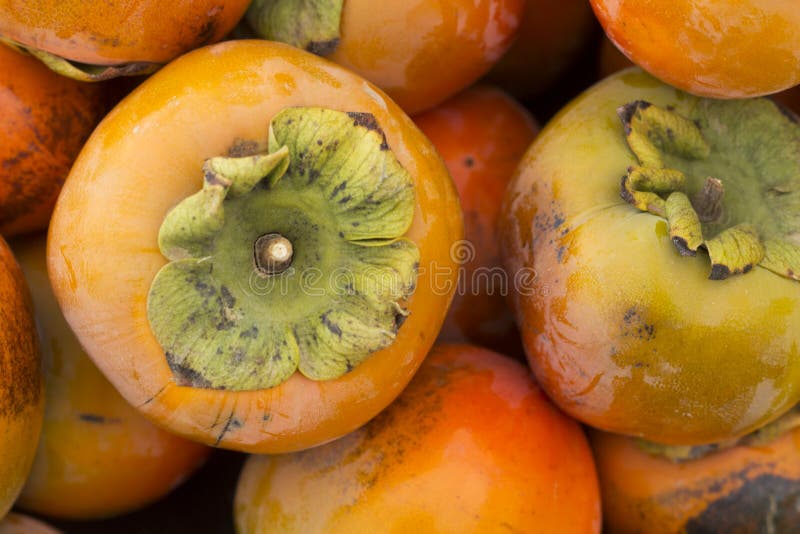 Frutta del cachi immagine stock. Immagine di coltivatori - 62557933