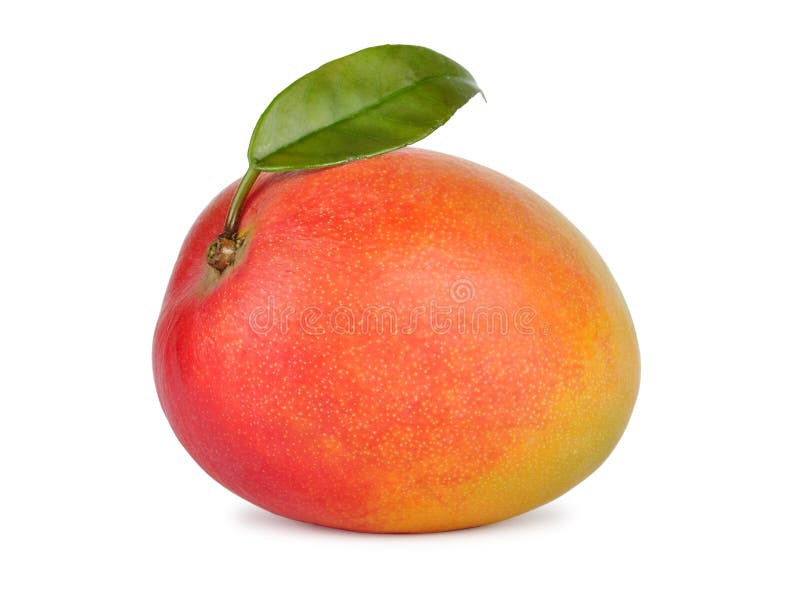 Frutta del mango immagine stock. Immagine di parte, bianco - 25430641