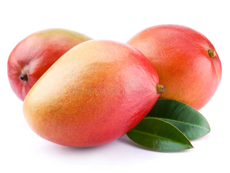 Frutta del mango immagine stock. Immagine di fine, dolce - 25430641