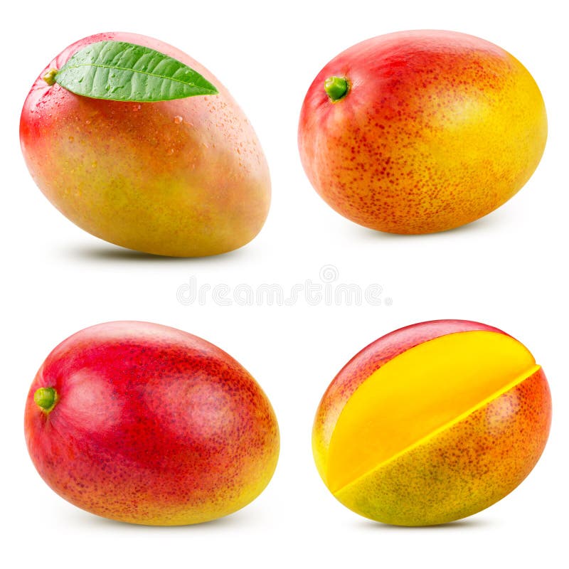 Frutta del mango isolata fotografia stock. Immagine di fresco - 87398786