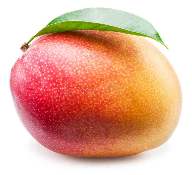 Frutta del mango fotografia stock. Immagine di maturo - 85412136