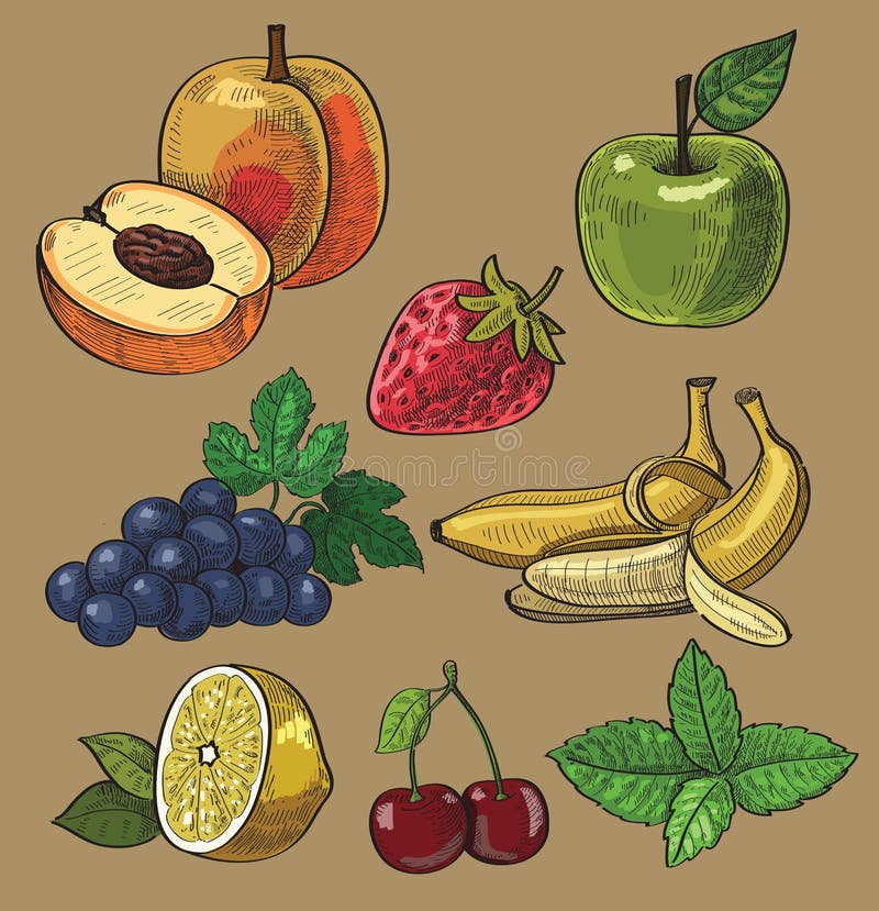 Frutta disegnata a mano illustrazione vettoriale. Illustrazione di ...