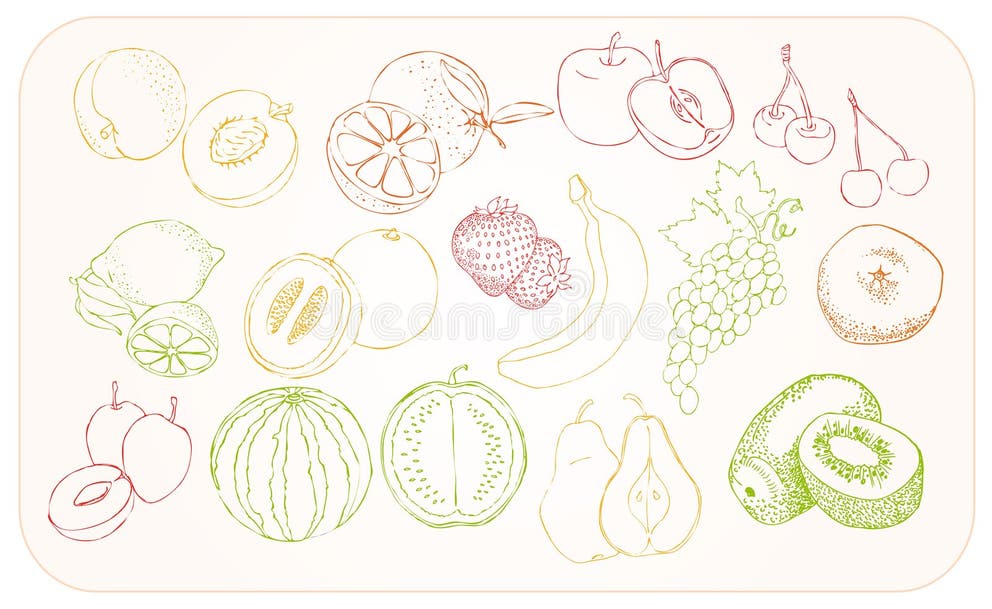 Frutta stilizzata illustrazione vettoriale. Illustrazione di pera ...
