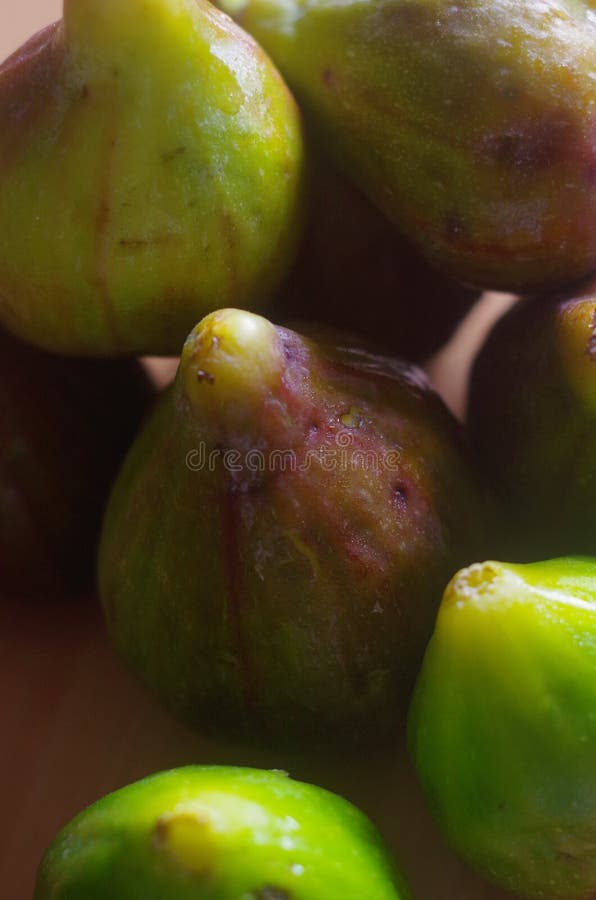 Frutti dei fichi immagine stock. Immagine di gruppo, frutta - 55653017