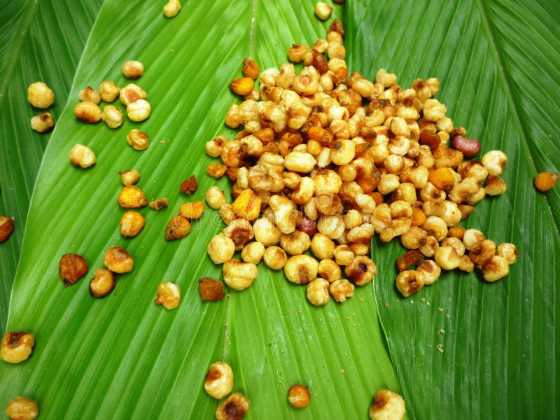 Fry corn (marning) stock photo. Image of healthy, vegetarian - 54288856