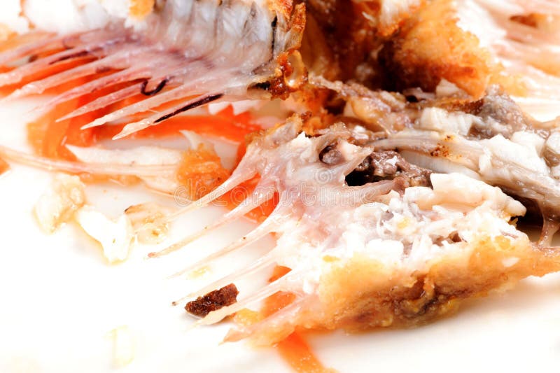 Fish bone stock photo. Image of meal, cuisine, dine, lunch - 14627218