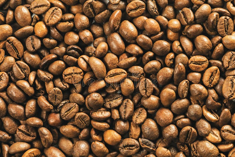 Frying Coffee Grain, Background Texture. Stock Image - Image of cook ...