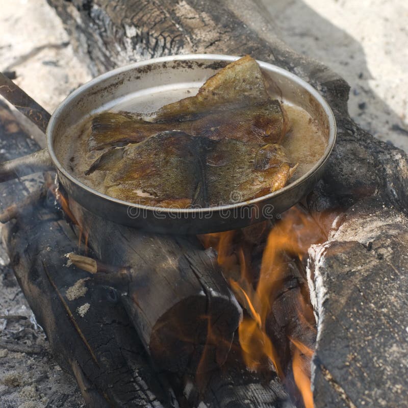 Frying fish. stock image. Image of cooking, hiking, food - 12059549