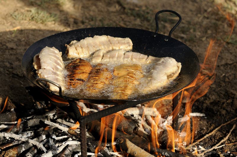 Fish cooking on open fire stock photo. Image of fried - 10192792