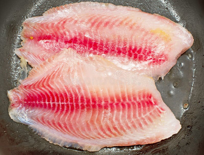 Frying fish stock photo. Image of light, dinner, seafood - 31749786