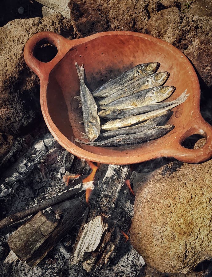 Frying fish with firewood stock image. Image of plant - 262980007
