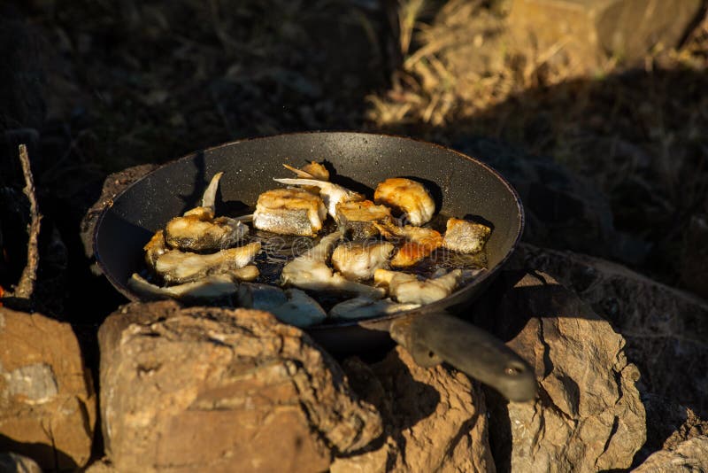 Frying Fish in Oil in a Pan in the Camp Stock Image - Image of fried ...