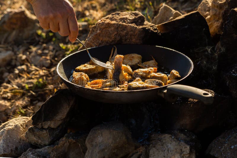 Frying Fish in Oil in a Pan in the Camp Stock Photo - Image of gourmet ...