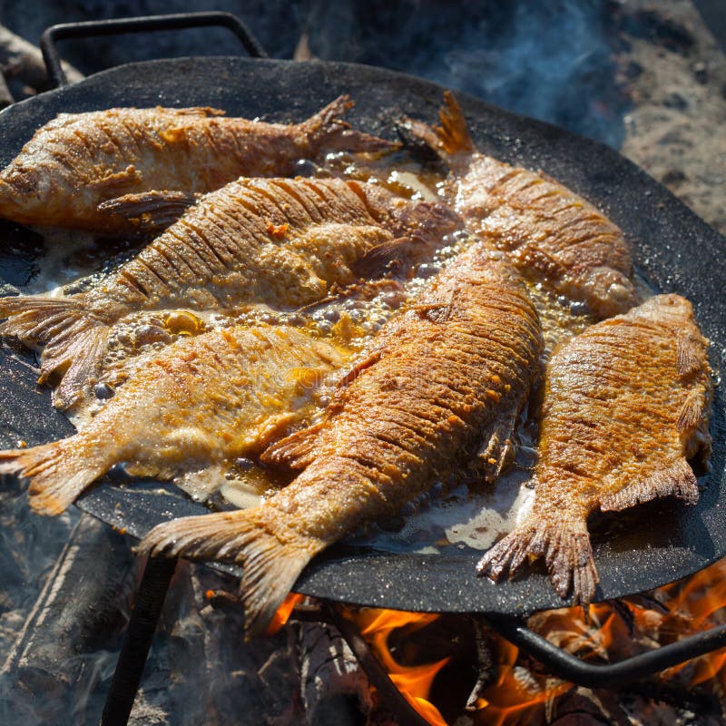 1,216 Fish Cooking Open Fire Stock Photos - Free & Royalty-Free Stock ...