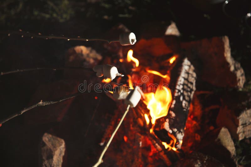 Frying Marshmallows on Bonfire at Night, Closeup. Stock Photo - Image ...