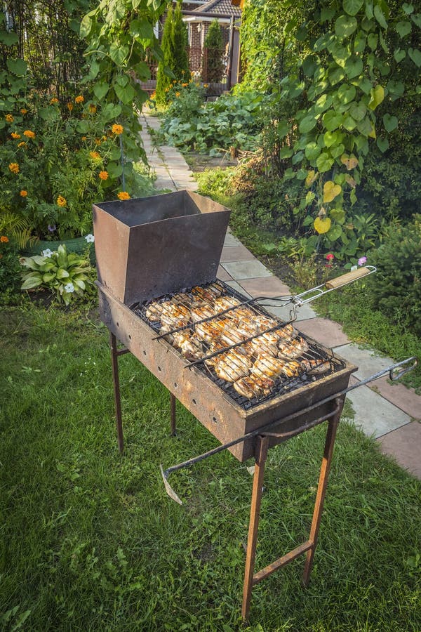 Frying meat on the grill stock photo. Image of mangal - 77704004