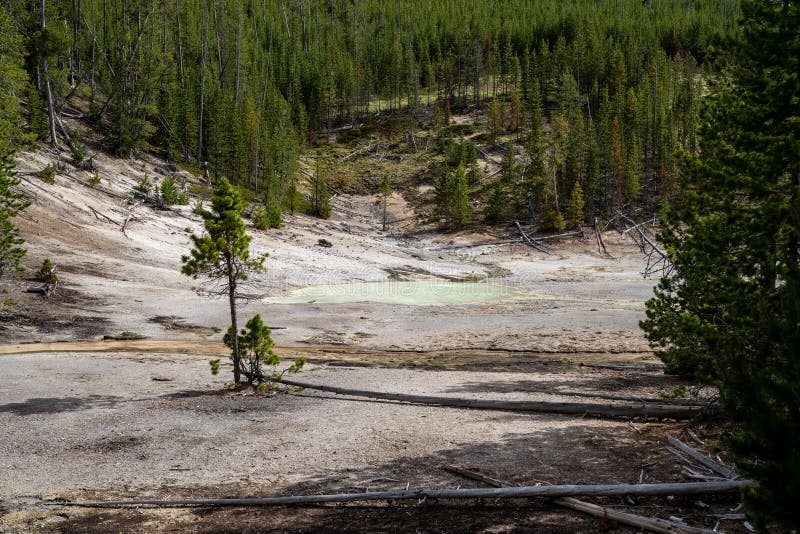 Frying Pan Hot Springs in Yellowstone National Park Stock Photo - Image ...