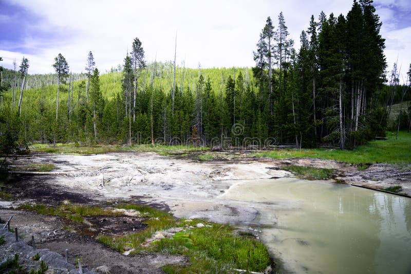 Frying Pan Hot Springs in Yellowstone National Park Stock Photo - Image ...