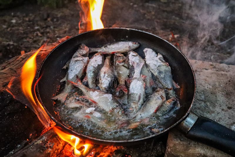 Cooking Gossip in a Frying Pan in the Wild. Fishing with an Overnight ...