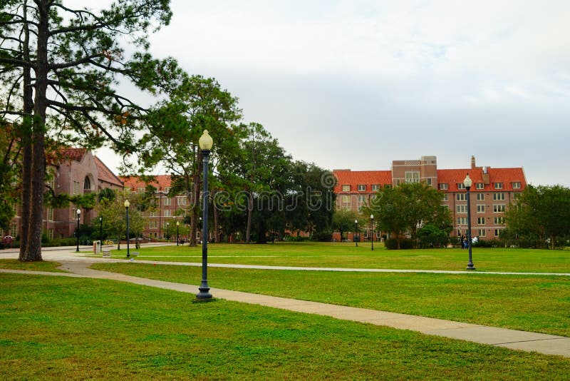 FSU campus landscape stock photo. Image of palm, academic - 103739036