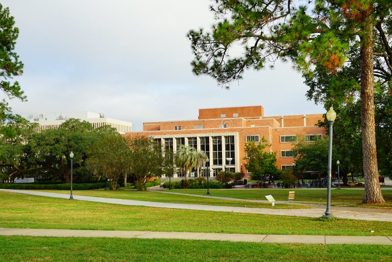 FSU campus landscape stock image. Image of palm, school - 103739123