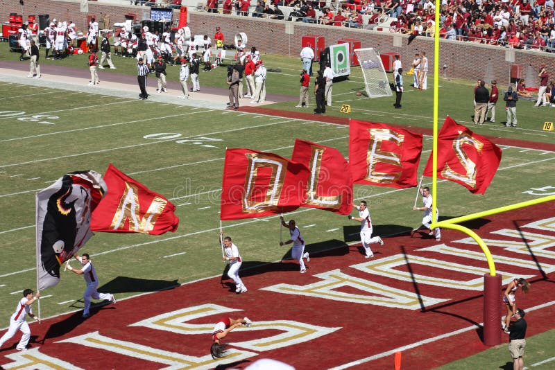 Crowd at Football Game editorial photo. Image of florida - 20957206