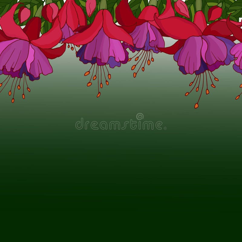 484 Fuchsia, Vector Illustration For Different Design Stock Vector ...