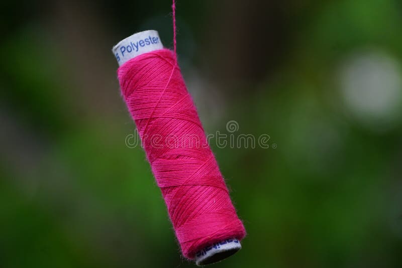 Threadrolls Stock Photos - Free & Royalty-Free Stock Photos from Dreamstime