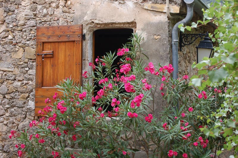 Fuchsia Flowers Over a Window Stock Image - Image of provence, grey ...