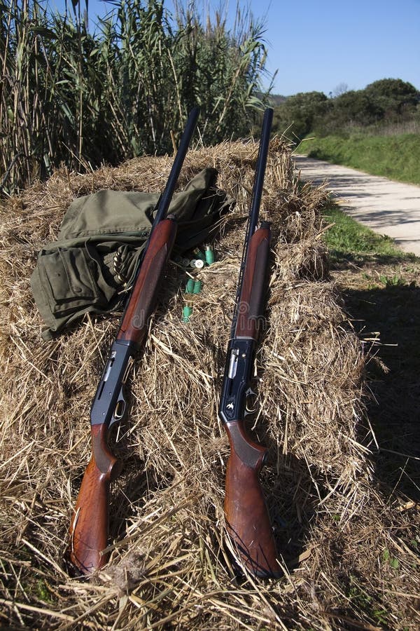 Fucili immagine stock. Immagine di pistola, punto, storico - 15705025
