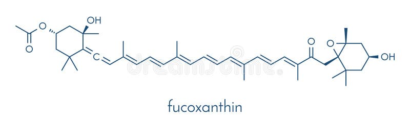 Fucoxanthin Brown Algae Pigment Molecule. Ingredient of Some Dietary ...