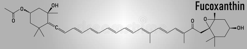 Fucoxanthin Brown Algae Pigment Molecule. Ingredient of Some Dietary ...