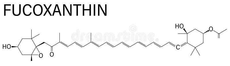 Supplements Cancer Stock Illustrations – 76 Supplements Cancer Stock ...