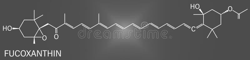 Fucoxanthin Molecule. Skeletal Formula. Stock Vector - Illustration of ...