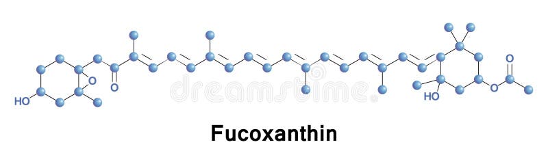 Fucoxanthin Xanthophyll Formula Stock Vector - Illustration of ...