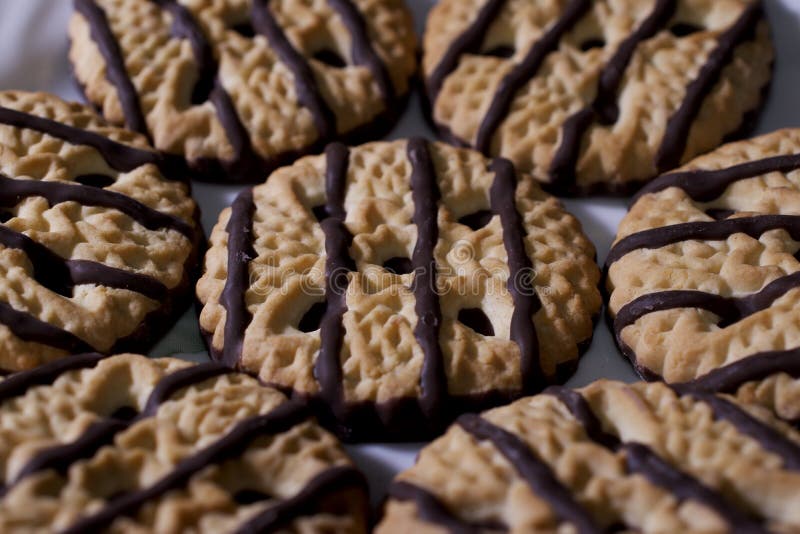 Fudge Striped Shortbread Cookies Stock Image - Image of chocolate ...