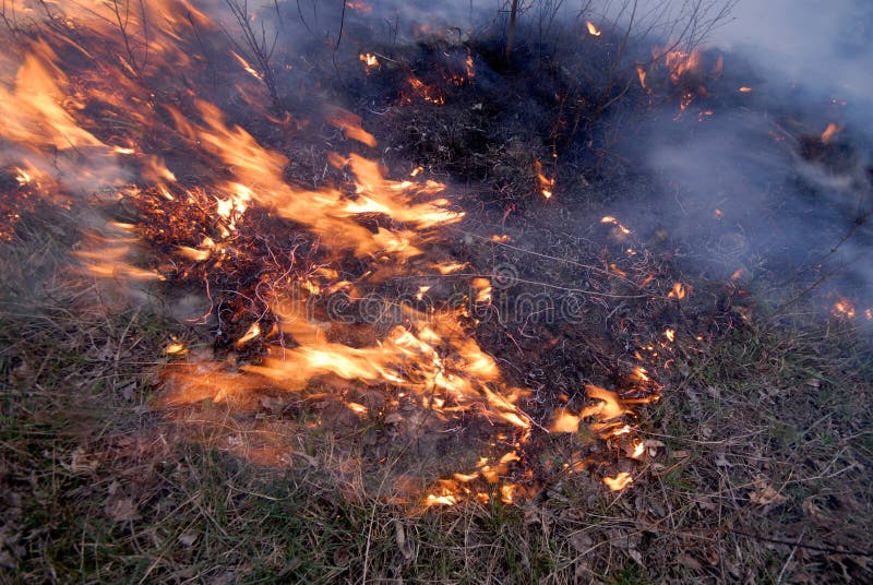 Fuego rojo y humo denso foto de archivo. Imagen de rojo - 5327896