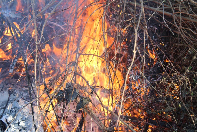 Fotografía del fuego imagen de archivo. Imagen de quema - 136074113