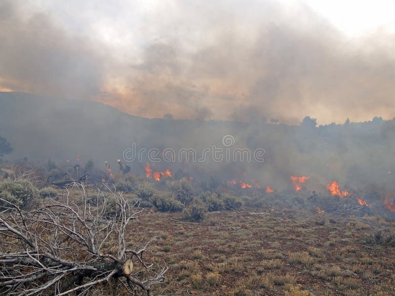 Fuego del yermo imagen de archivo. Imagen de bosque, quemadura - 39021687