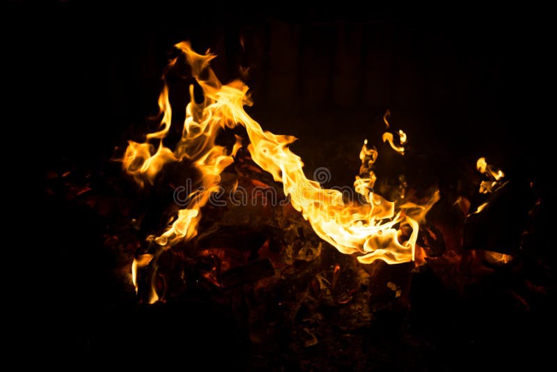 Fuego Que Quema En El Coco Del Spathe Imagen de archivo - Imagen de ...