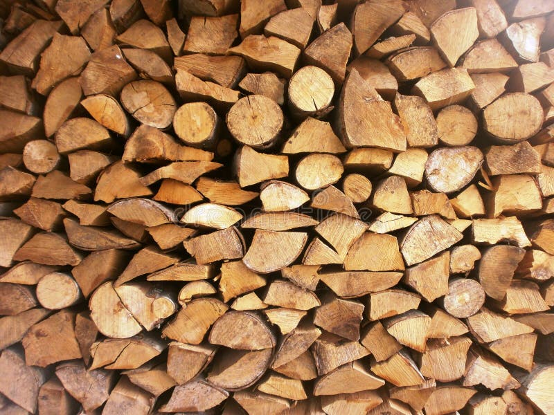 Fuel stock photo. Image of fuel, wood, forest, timberman - 87530342