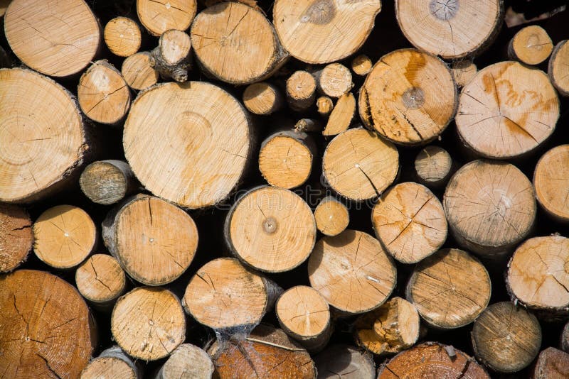Raw material of fuelwood. stock photo. Image of backdrop - 41329686
