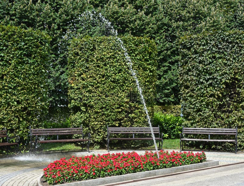 Fuente En Los Bosques Del Parque En Primavera Foto de archivo - Imagen ...