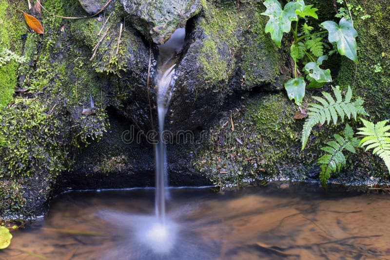 Fuente Natural De Agua Cristalina Foto de archivo - Imagen de manantial ...