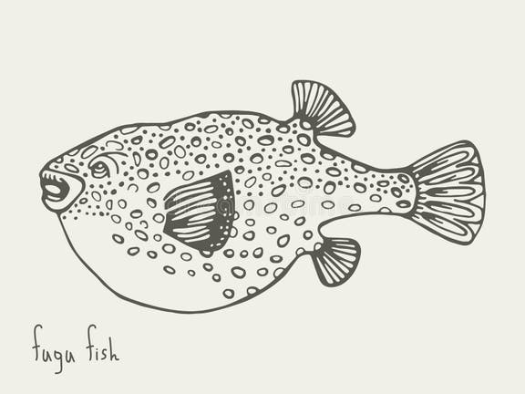 Fugu fisk illustration stock illustrationer. Illustration av randigt ...