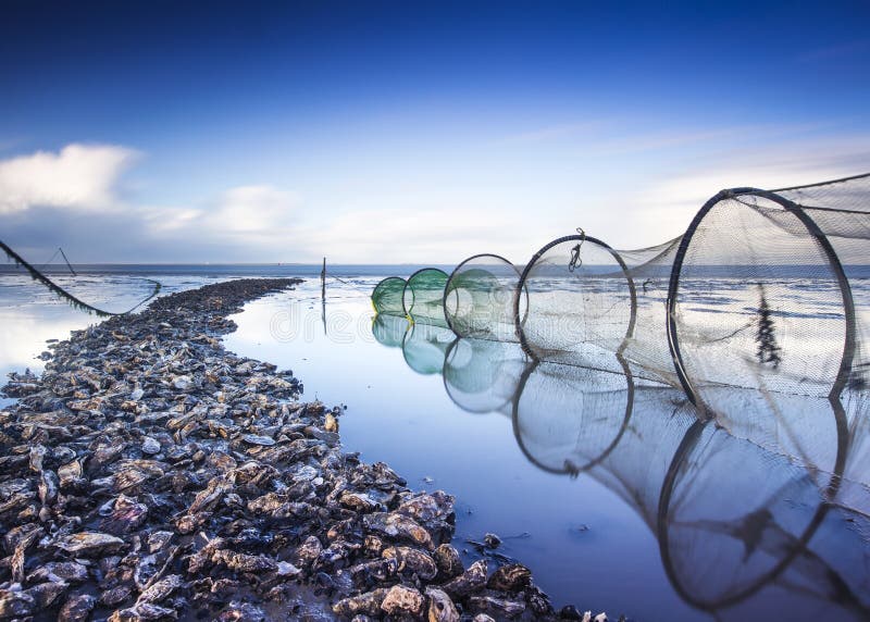 Fuik Op Stock Photos - Free & Royalty-Free Stock Photos from Dreamstime