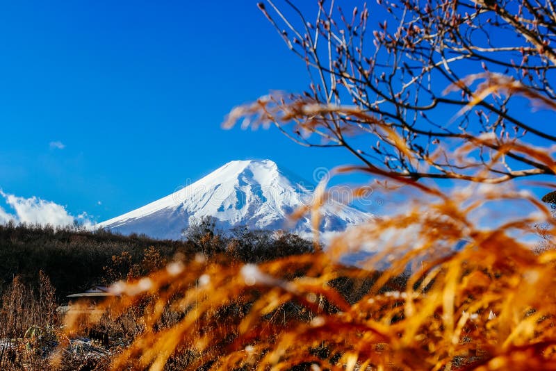 Fujayama arkivfoto. Bild av nippon, fujiyama, japan, berg - 83466790