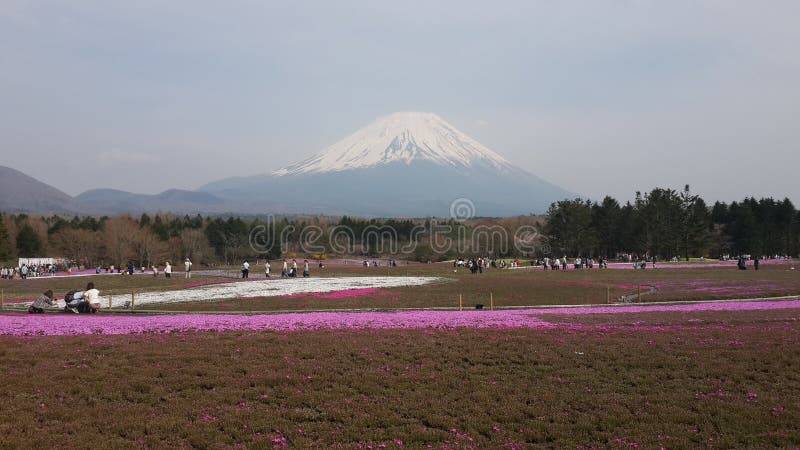 Fuji editorial photography. Image of fujisan, fuji, travel - 48529322